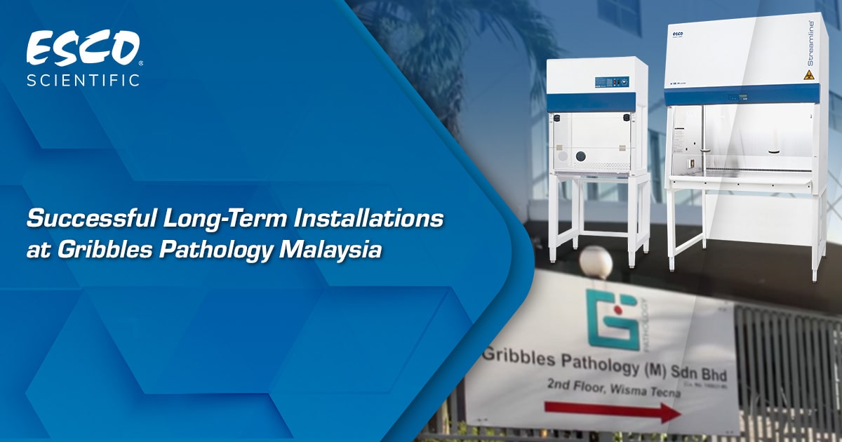 Successful Installations at Gribbles Pathology Malaysia | Esco Lifesciences