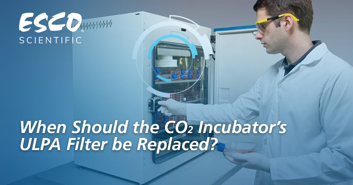 CO₂ Incubator's ULPA Filter Replacement| Esco Lifesciences