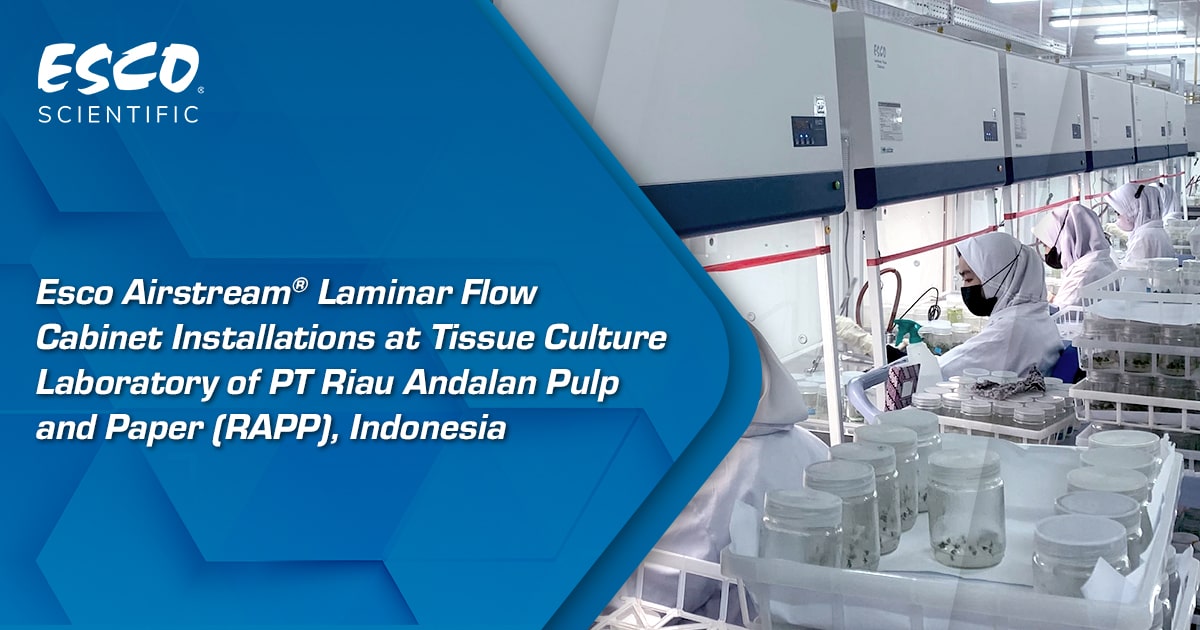 Esco Airstream® LFC Installations at PT RAPP | Esco Lifesciences