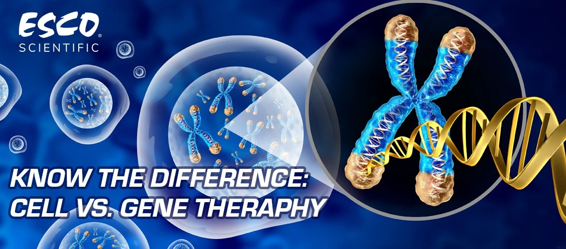 Know the Difference: Cell vs. Gene Therapy | Esco Lifesciences