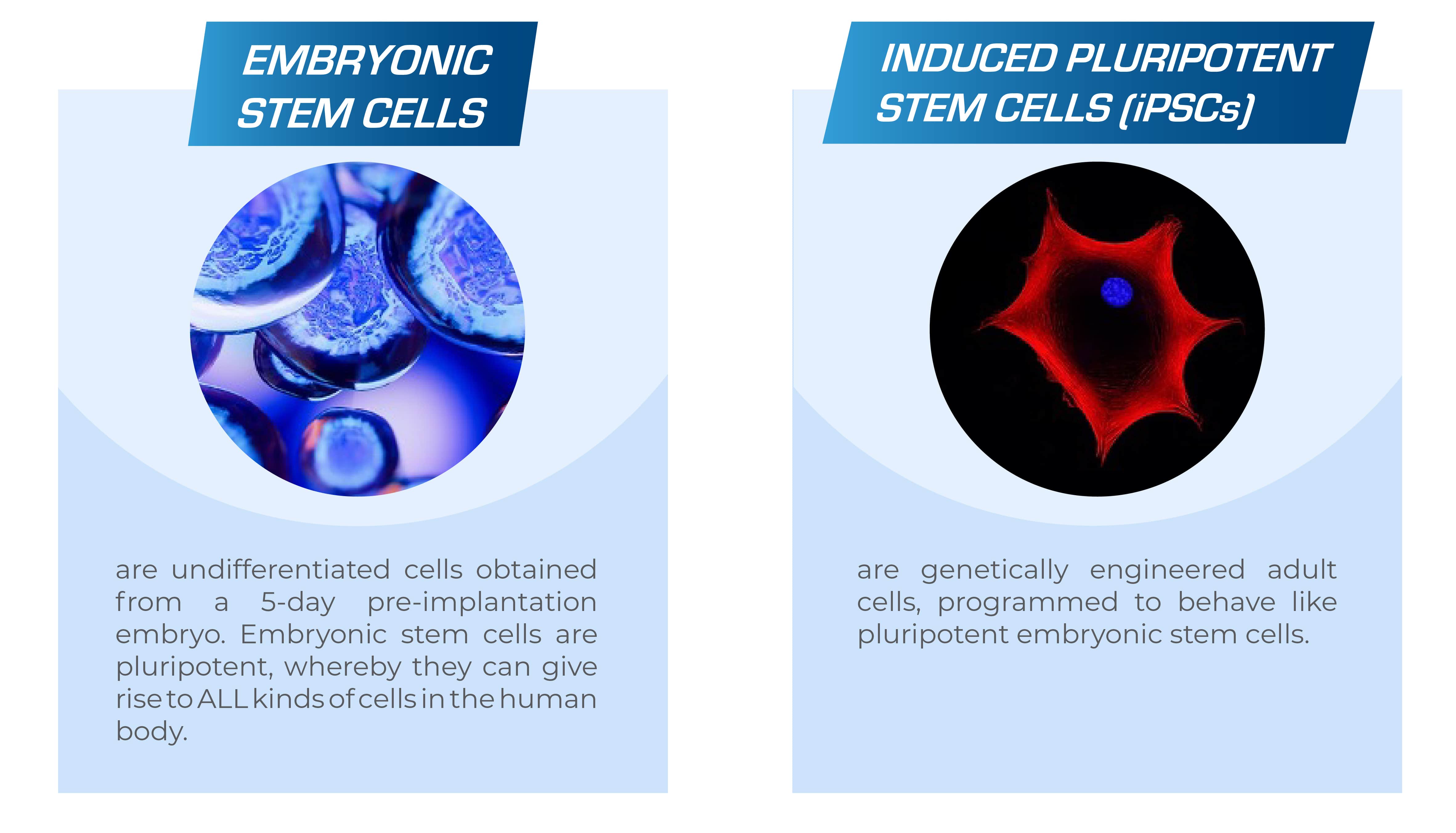 Know the Difference: Cell vs. Gene Therapy | Esco Lifesciences