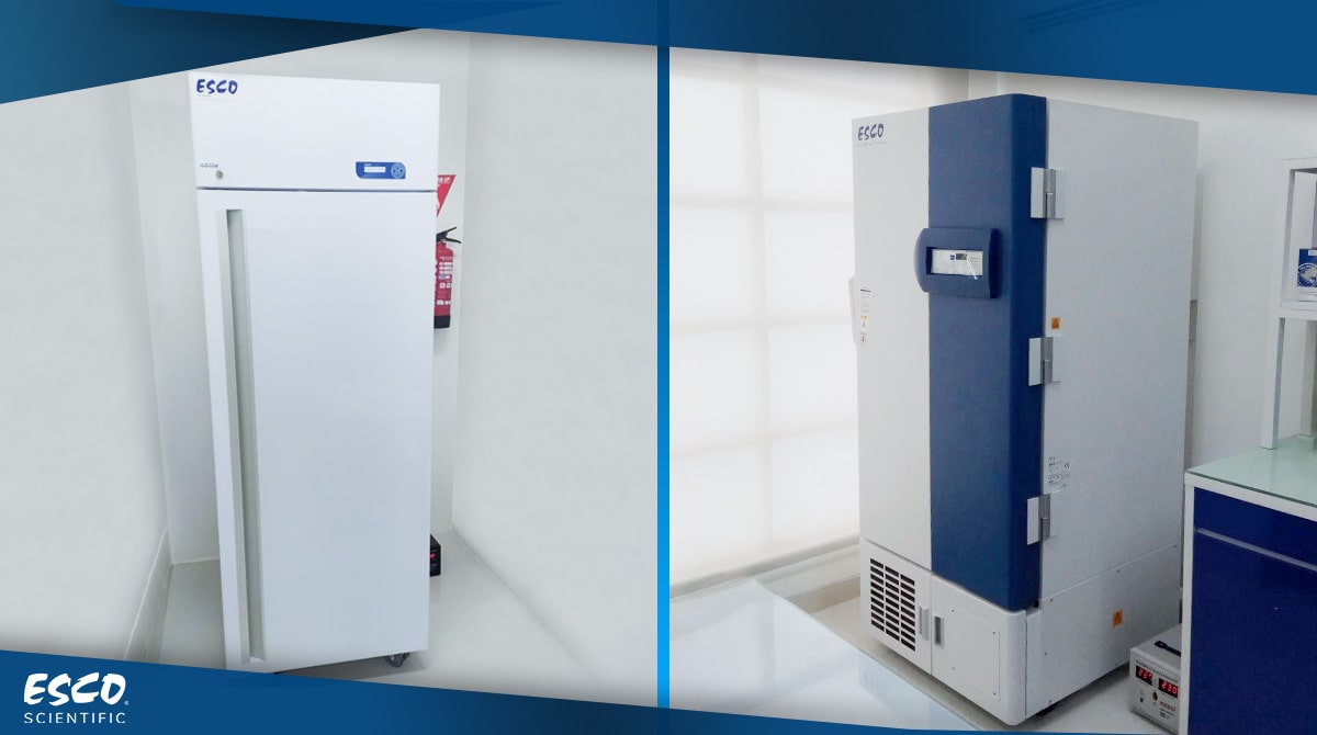 Esco Lifesciences Installations at Genetika Lab | Esco Lifesciences