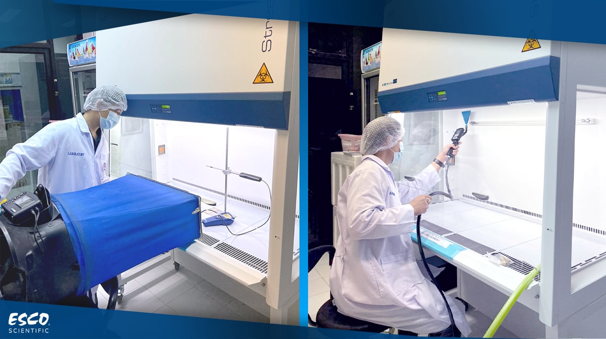 Streamline® Biosafety Cabinet at Saha Farms | Esco Lifesciences