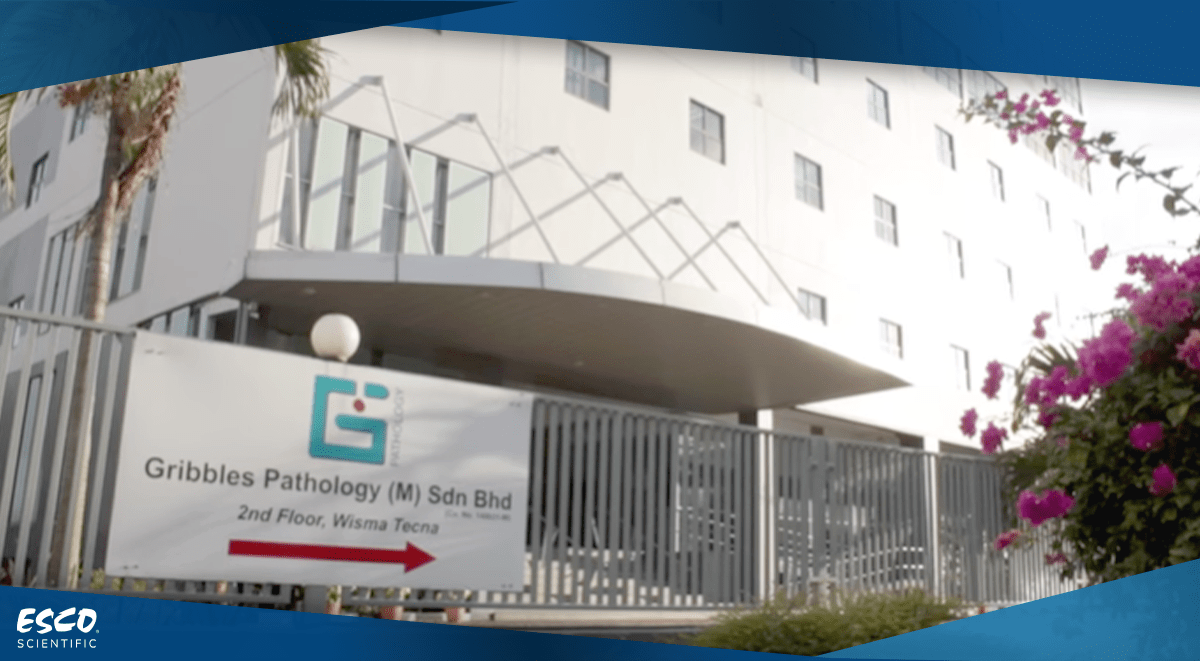 Successful Installations at Gribbles Pathology Malaysia | Esco Lifesciences