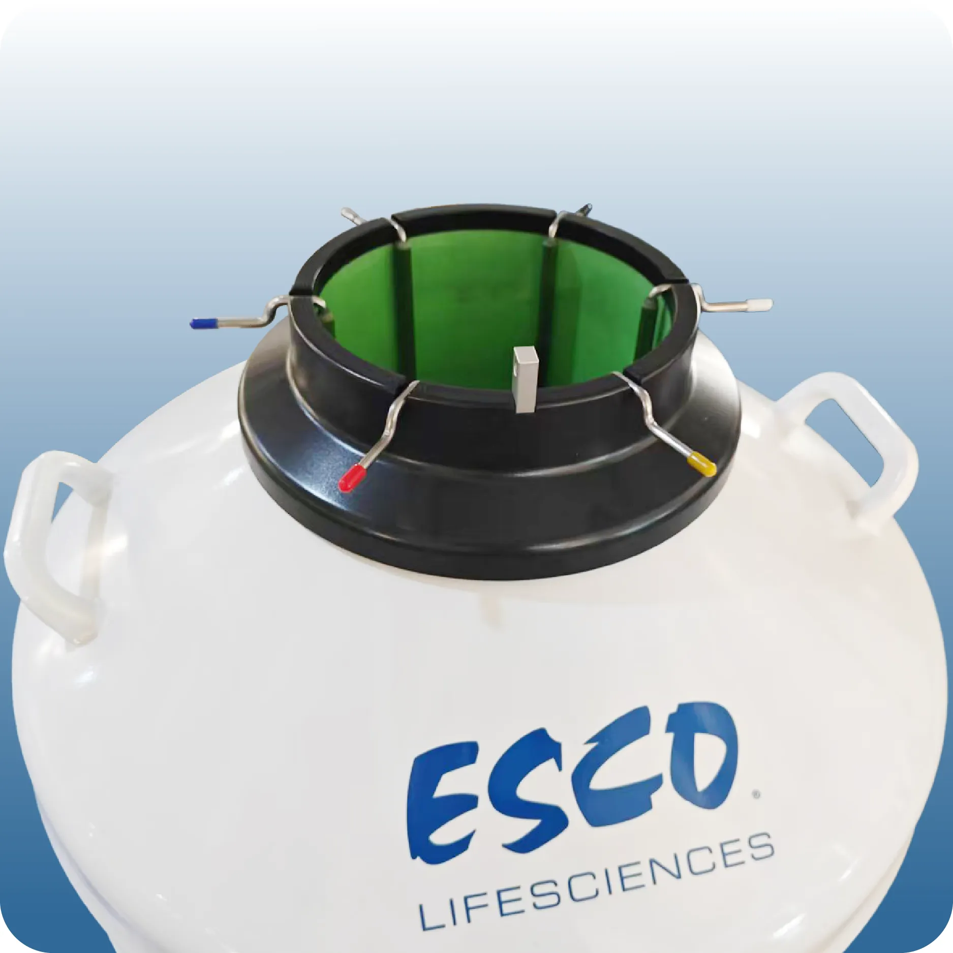 Liquid Nitrogen Biological Container | Esco Lifesciences