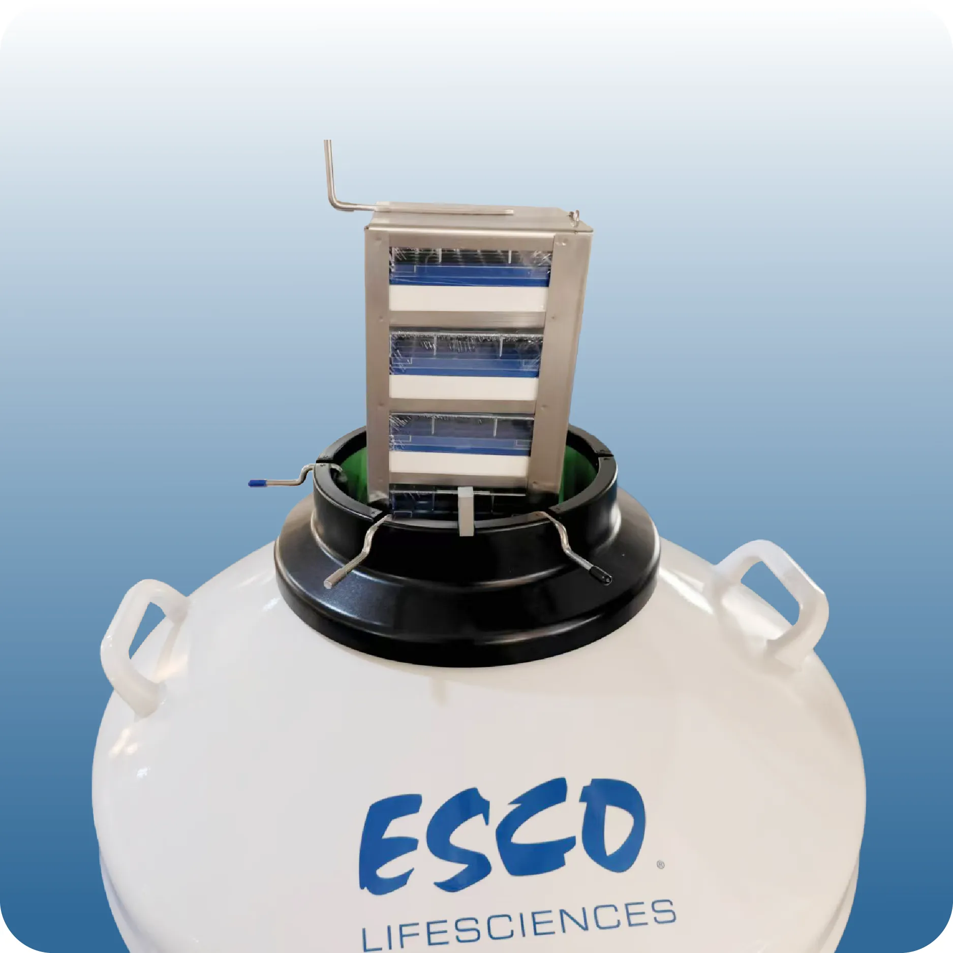 Liquid Nitrogen Biological Container | Esco Lifesciences