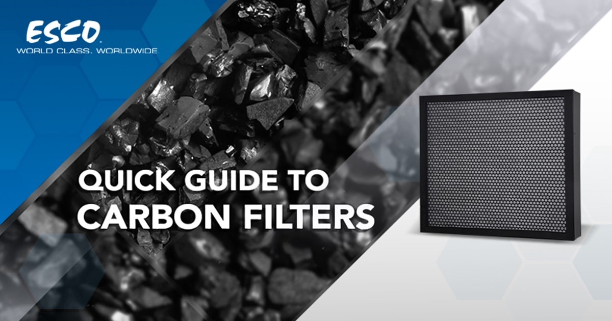 Quick Guide to Carbon Filters | Esco Scientific