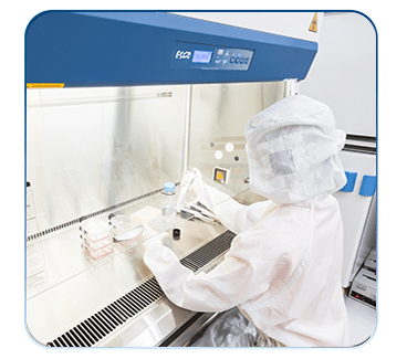 Advanced Safety and Comfort Features of Modern Biosafety Cabinets ...